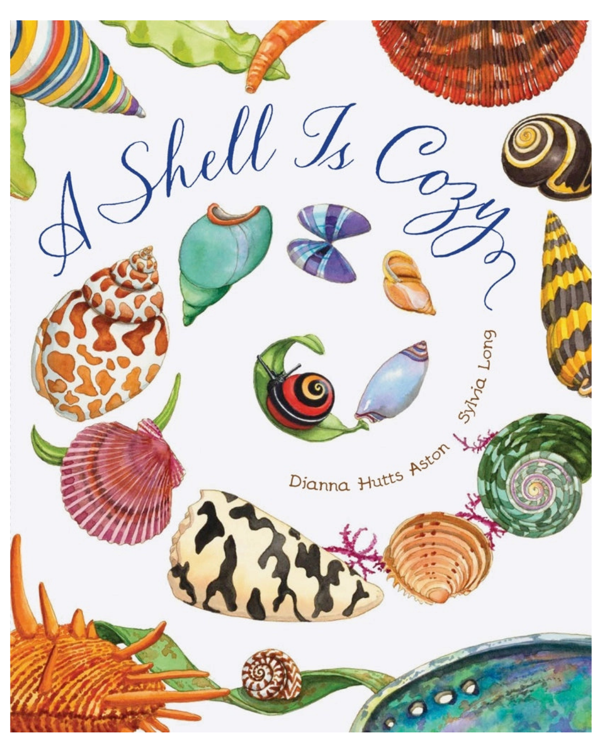A Shell Is Cozy Book – ish Boutique